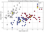 Iris Dataset Clustering with K-Means: A Step-by-Step Analysis